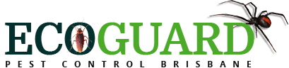 24/7 Pest Control Services Near You | Ecoguard Pest Control