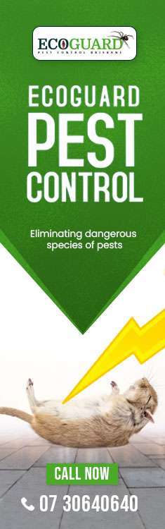 24/7 Pest Control Services Near You | Ecoguard Pest Control