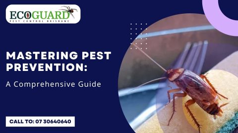 Mastering Pest Prevention: A Comprehensive Guide - Ecoguard