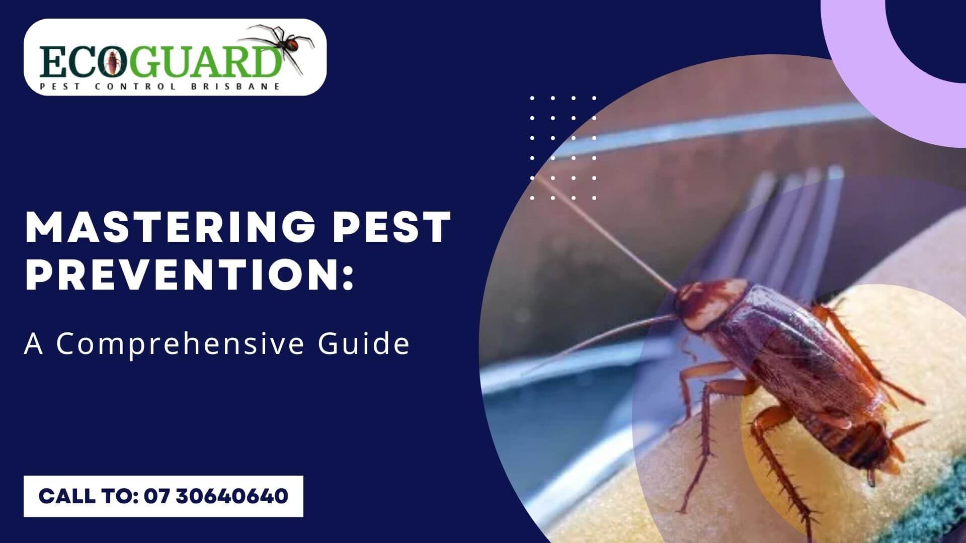 Ecoguard Pest Control | Pest Control Services Near Your Location