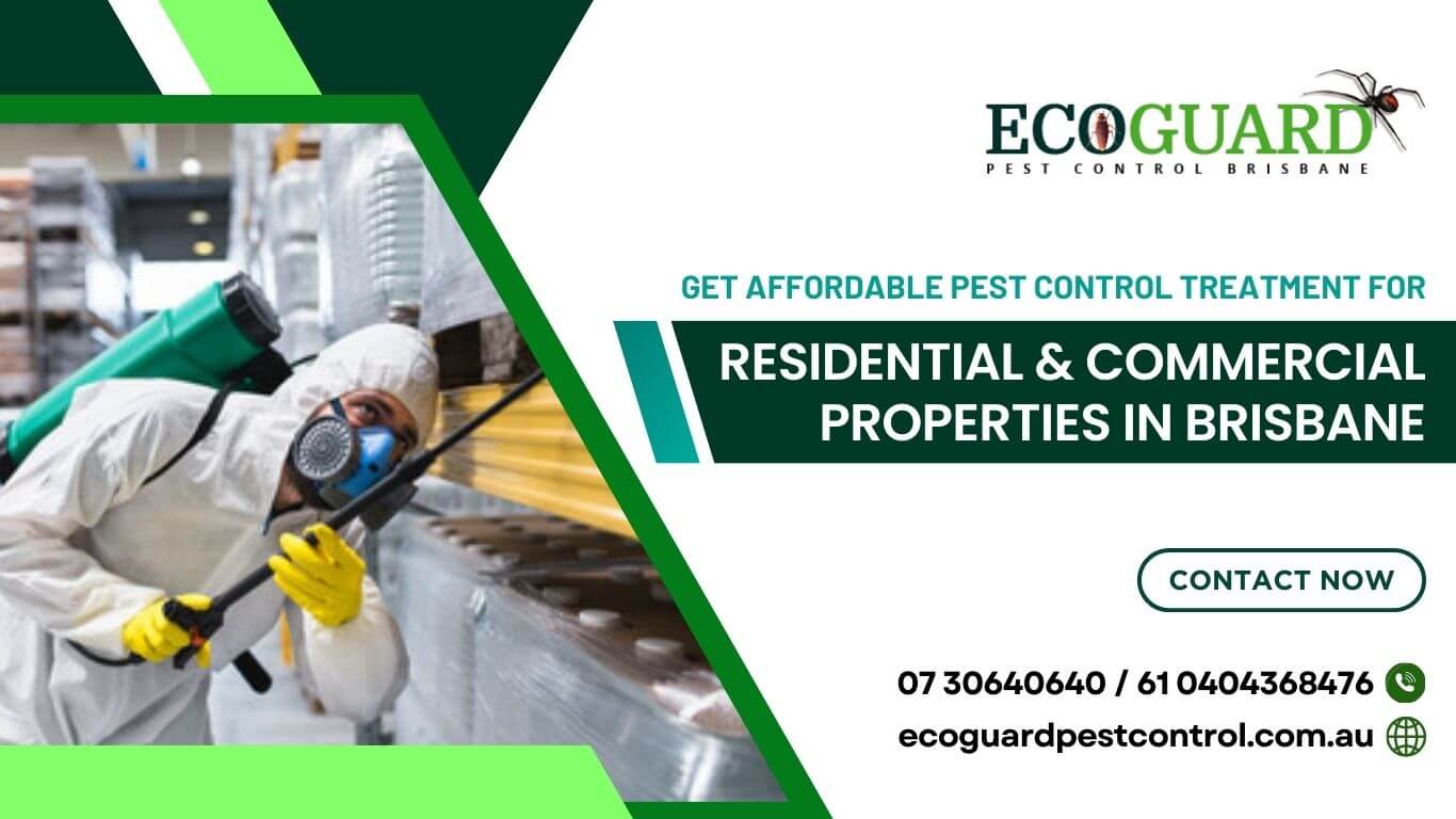 Ecoguard Pest Control | 24/7 Pest Control Services Near You