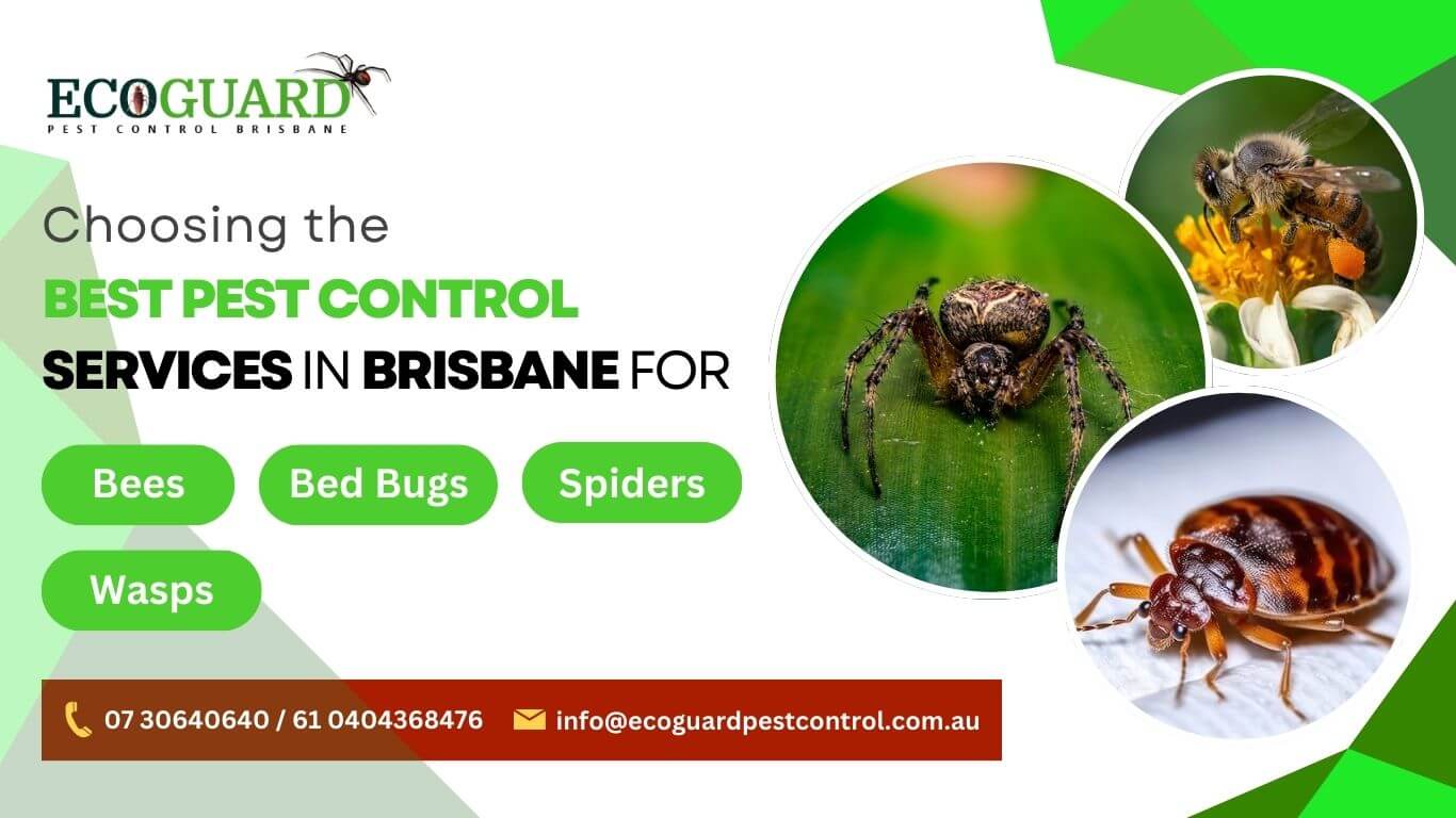 Ecoguard Pest Control | 24/7 Pest Control Services Near You