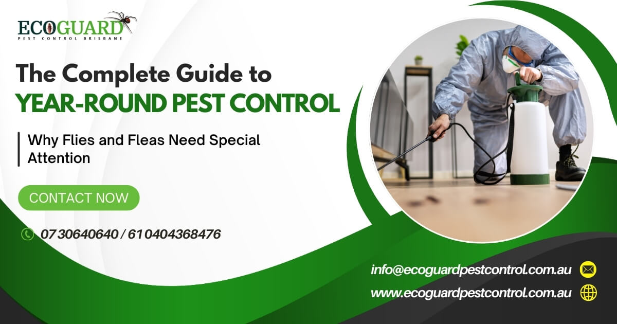 Ecoguard Pest Control | 24/7 Pest Control Services Near You
