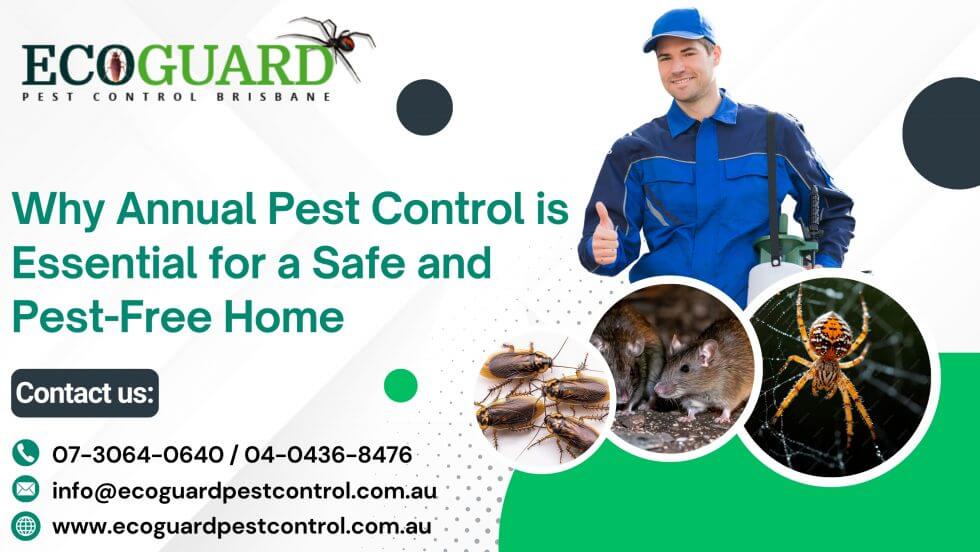 Why Annual Pest Control is Essential for a Safe and Pest-Free Home ...